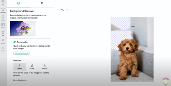 Cricut Background Removal Tool - Makers Gonna Learn