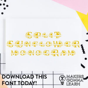 Alex Reagon - Makers Gonna Learn